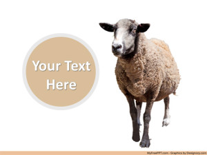 Free Sheep PowerPoint Template - Download Free PowerPoint PPT